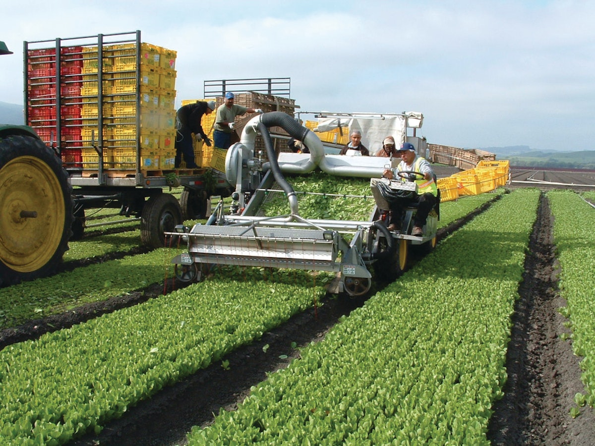 Specialized vegetable harvesters from Salinas Valley | OEM Off-Highway