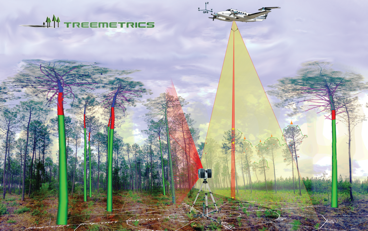 Aerial and Ground-Based Laser Scanning From: Treemetrics | OEM Off-Highway