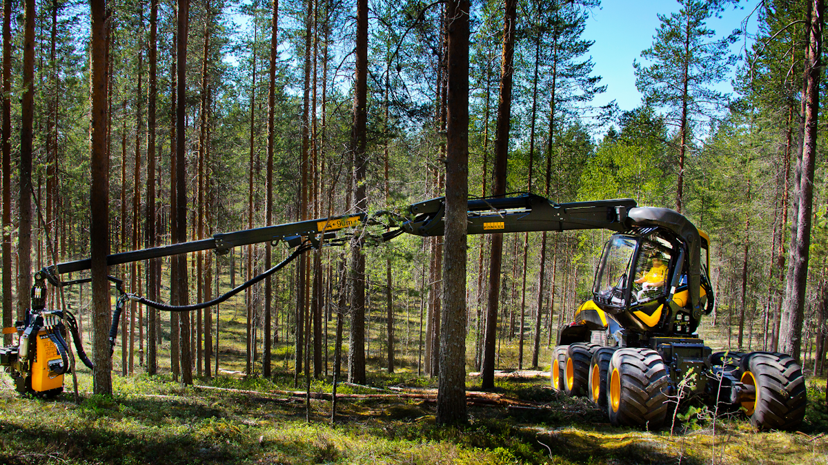 Forestry Equipment Tires Market to Expand at CAGR of 5.7% Through 2028 ...